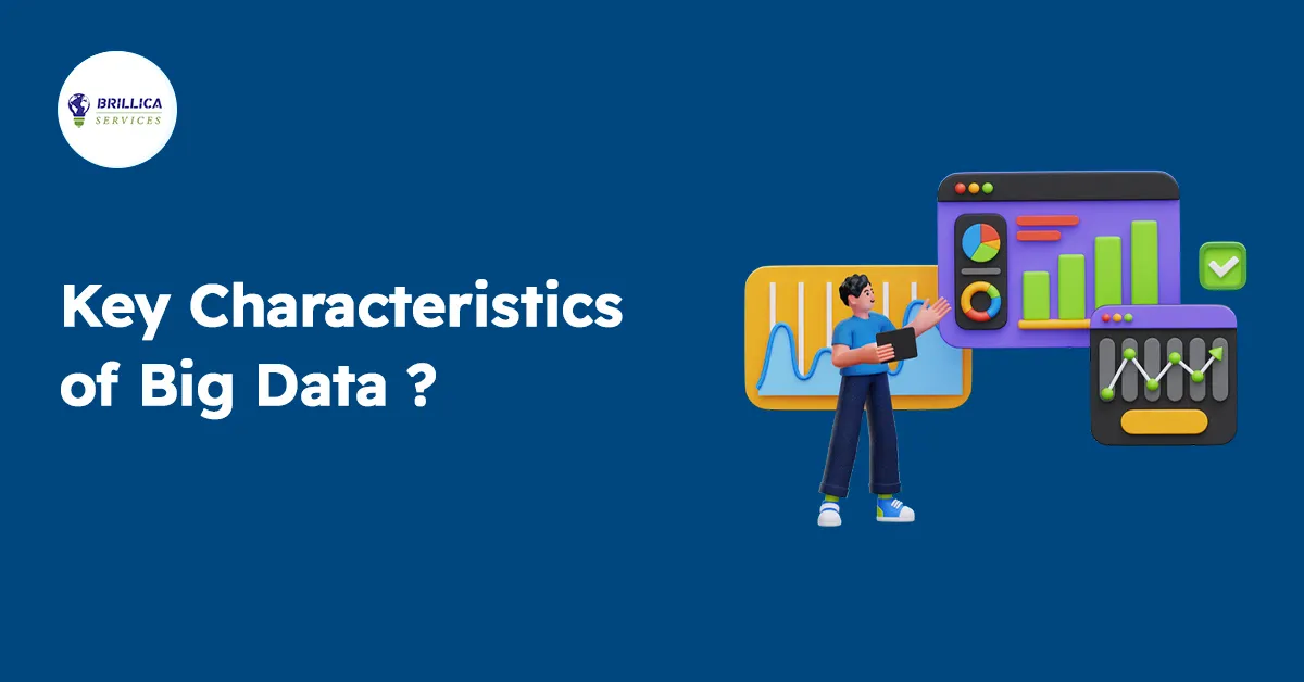 What Are the Characteristics of Big Data? | Definition
