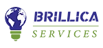 Our Alumni | Brillica Services Placement Records